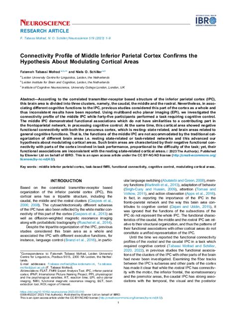 Pdf Connectivity Profile Of Middle Inferior Parietal Cortex Confirms