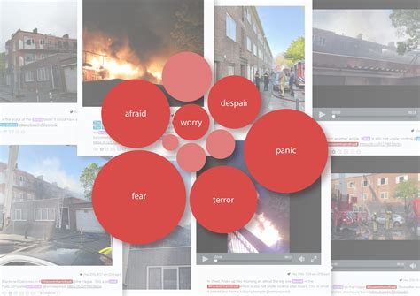 understanding public sentiment for public safety and security publicsonar