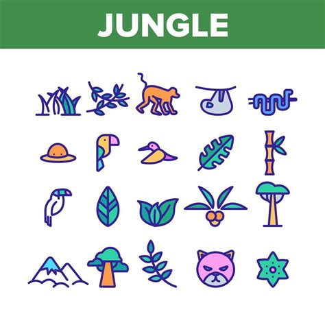 Jungle Forest Collection Elements Icons Set Vector 9924553 Vector Art At Vecteezy