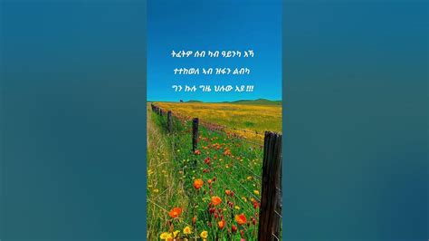 eritreancomedy eritrean eritreanmusic eritreanews habesha eritrea eritreanfilm