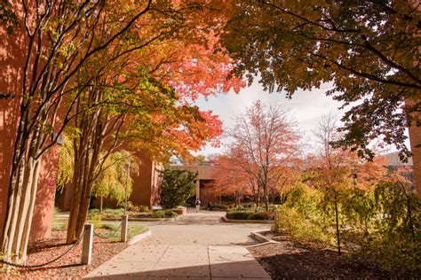 Top 6 Ways To Celebrate A Slightly Spine Chilling Autumn At Umbc