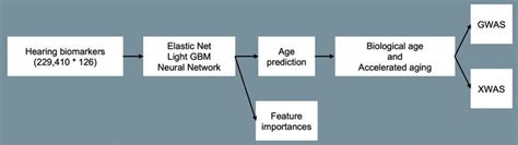 Overview Of The Analytic Pipeline Download Scientific Diagram