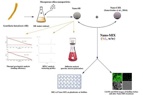 Nanomaterials Free Full Text Synergistic Antibacterial Effects Of Nanoparticles Encapsulated
