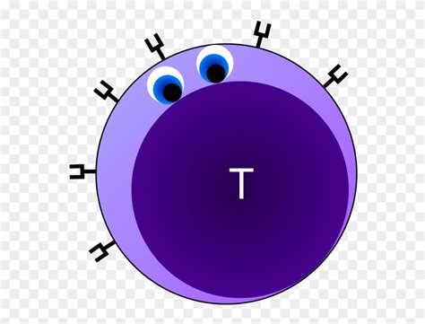 T Cell B Cell Cartoon Clipart 356847 Pinclipart