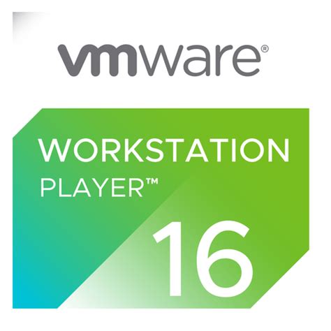 Vmware Player Windows 11 Servicevse