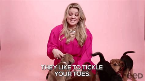 Ticklish Feet Clips Find And Share On Giphy
