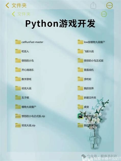 给大家提供的80个python毕设项目！附源码！ 哔哩哔哩