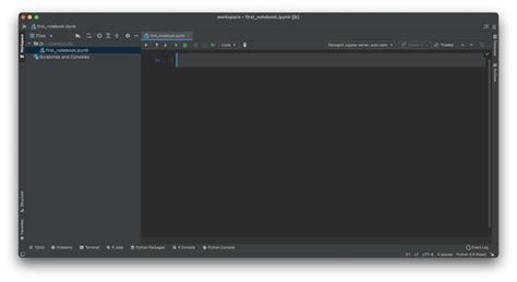 Dataspell数据挖掘编辑器 大邓和他的python Dataspell数据挖掘编辑器 大邓和他的python