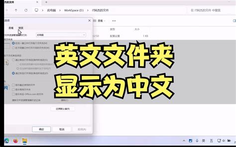 如何让英文文件夹显示的是中文名称 哔哩哔哩