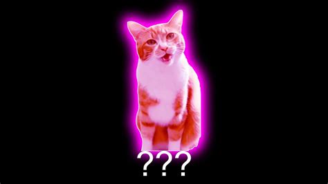 Ha Hee Cat Sound Variations In 30 Seconds Youtube