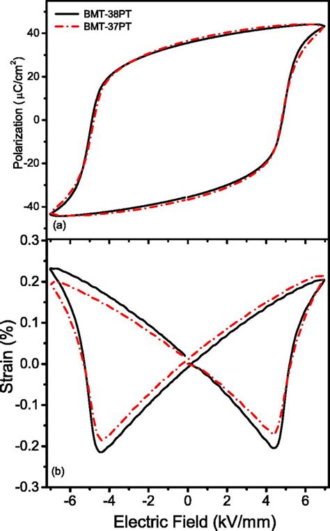 Domain Wall And Interphase Boundary Motion In 1−x Bi Mg0 5ti0 5 O3 Xpbtio3 Near The