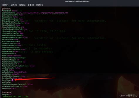 kalilinux修改终端字体大小教程 csdn博客