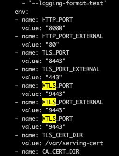 MTLS Port Environment Variable Is Generated Twice In Deployment Yaml