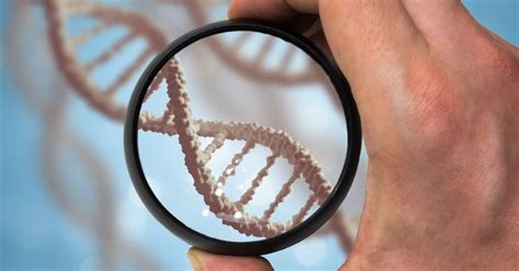 Large Scale Study Bolsters Notion That Genetics Contribute To Sexual Orientation Snopes Com