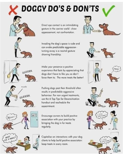 a poster explaining how dogs do's and don'ts