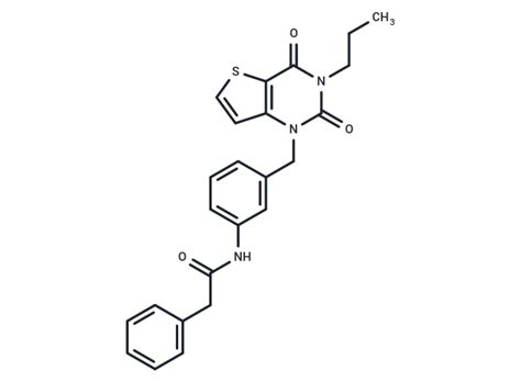 Fen1 In Sc13 Cas 2098776 03 3 Targetmol