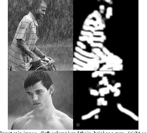 figure 1 from rain removal via shrinkage based sparse coding and