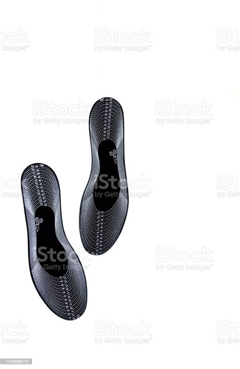 흰색 배경에 고립 된 다양한 신발 크기의 일반 검은 신발 깔창 0명에 대한 스톡 사진 및 기타 이미지 0명 개인 장식품 검은색 Istock