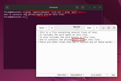 How To Use Grep Or Condition [7 Best Ways]