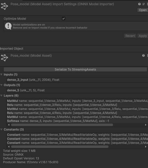 Errors Trying To Get Input Shape From Onnx Model Assertionexception