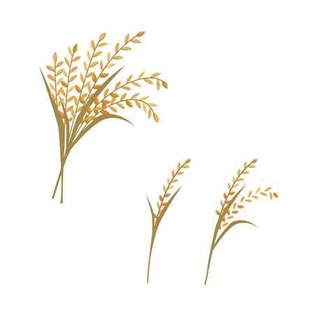 Free Grains Vector Template To Edit Online