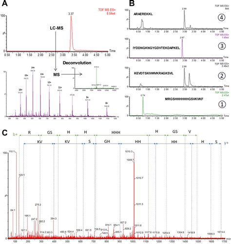 Mass Spectrometry Analysis Of Undigested And Digested H4 A Lcms Download Scientific Diagram