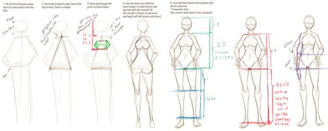 How I Draw Basic Woman Figure By Pandabaka On DeviantArt