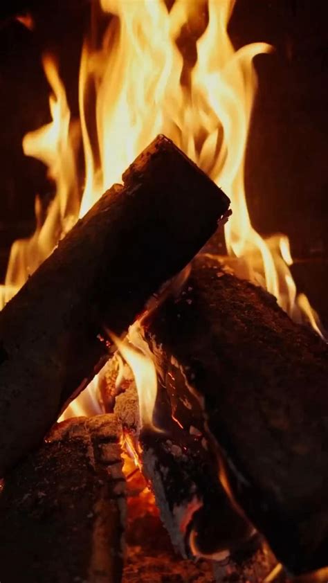 В пути он будет оборачиваться к Господу… Еда на костре Фотография огня Костёр