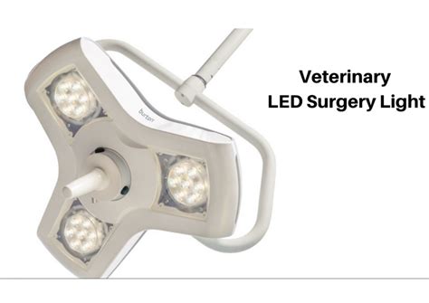Optimize Your Veterinary Surgical Suite with Proper Lighting