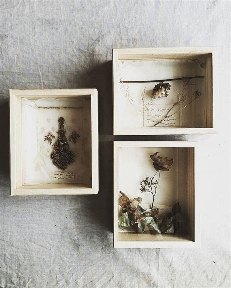Box Assemblage With Dried Flowers