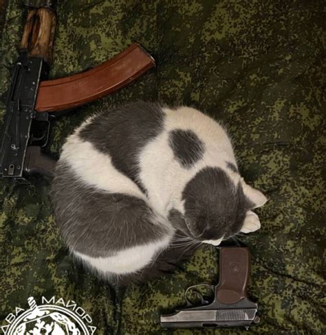 Александр Коц «На районе есть и другие серьезные пацаны Китай уже на три буквы послал Индия