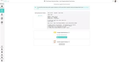 Jupyter Integration Mdai Documentation Jupyter Integration Mdai Documentation