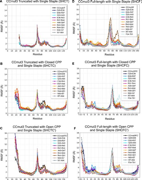 Molecular Modeling Of Single And Double Hydrocarbon Stapled Coiled Coil Inhibitors Against Bcr