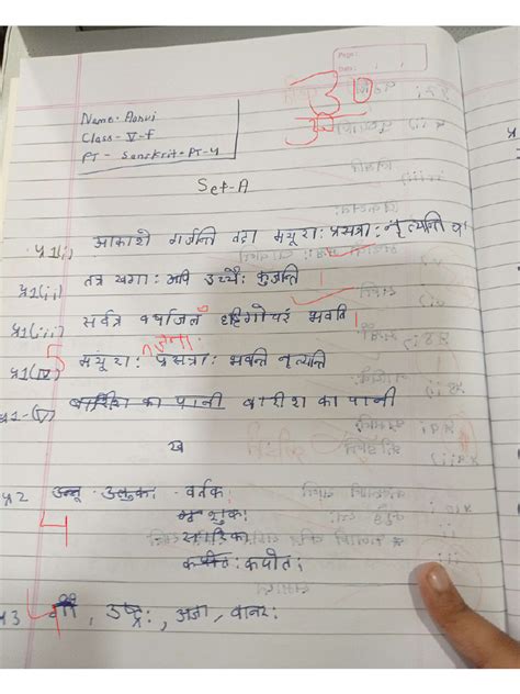 Student Correction Pdf