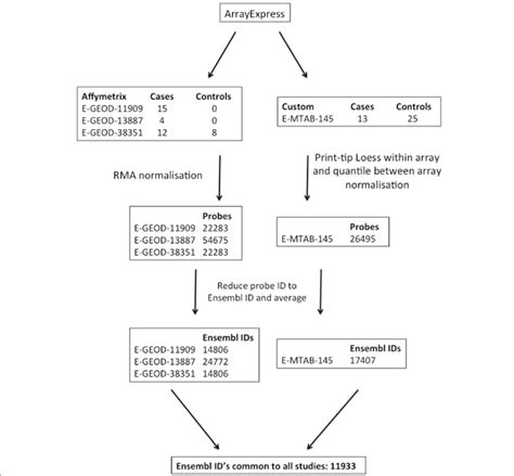 Data Processing Methodology Summary Of Processing Of Data Sets To