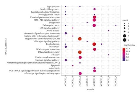 Construction Of Ppi Network And Module Mining Analysis A Ppi Network Download Scientific