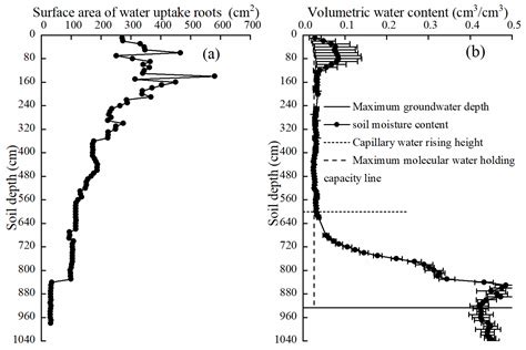 Water Free Full Text Estimation Of Evapotranspiration In The Desertoasis Transition Zone