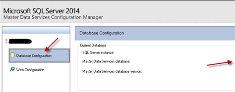 SQL Server Master Data Services MDS Database Restore Steps