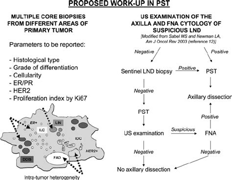 Schematic Representation Of Assessment Of Primary Tumor And Lymph Node Download Scientific