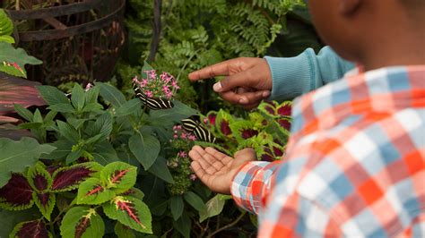 Adobe Photoshop Elements Tutorials Images Adobe Photoshop Elements