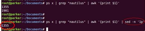 shell脚本查找、抽取指定字符串的方法 sed grep awk cut shell 筛选字符串某一部分 csdn博客