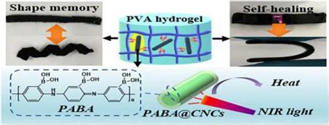聚（氨基苯硼酸）介导的快速自愈和形状记忆纤维素晶体纳米水凝胶 Carbohydrate Polymers X Mol