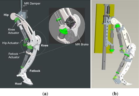 on the biomimetic design of agile robot legs