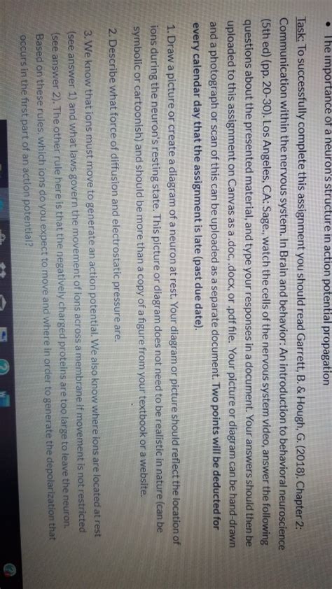 Solved The Importance Of A Neuron S Structure In Action Chegg Com