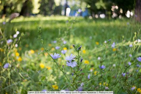LOMO T-43 40/4, adapted for cameras with EF mount. Review from the ...