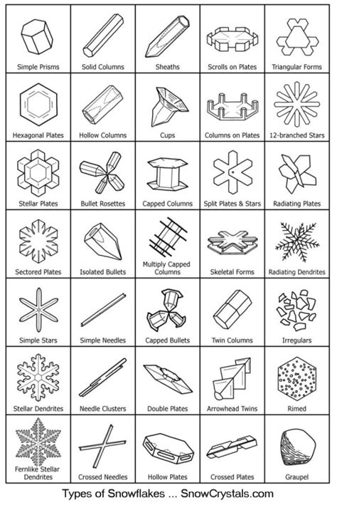 Visual Snowflake Geometry Infographictv Number One Infographics And Data Data Visualization