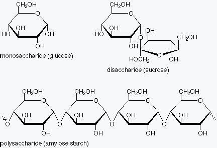 Monosaccharides Macromolecules Organic Chemistry Books Biochemistry