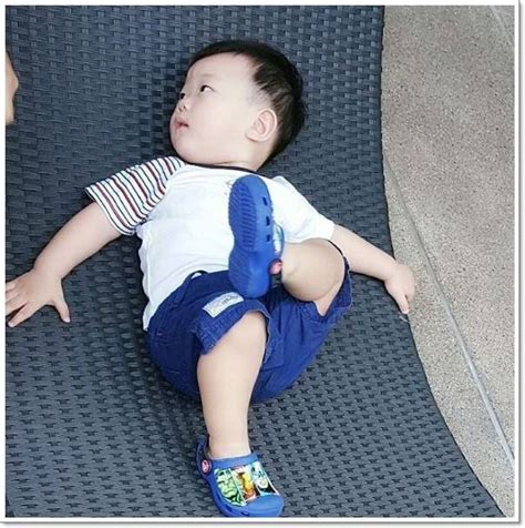 슈돌 인기원톱 대박이  인스티즈 Instiz 이슈 카테고리