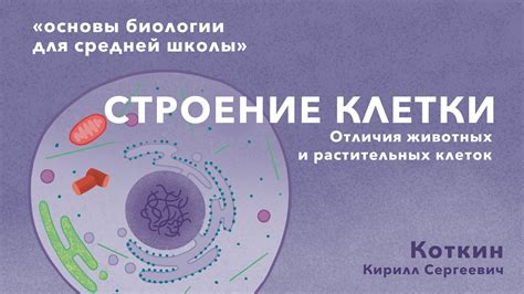 4 Строение клетки Отличия животных и растительных клеток Youtube