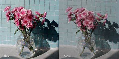 Kelebihan Dan Kekurangan Oppo A Yang Perlu Diketahui